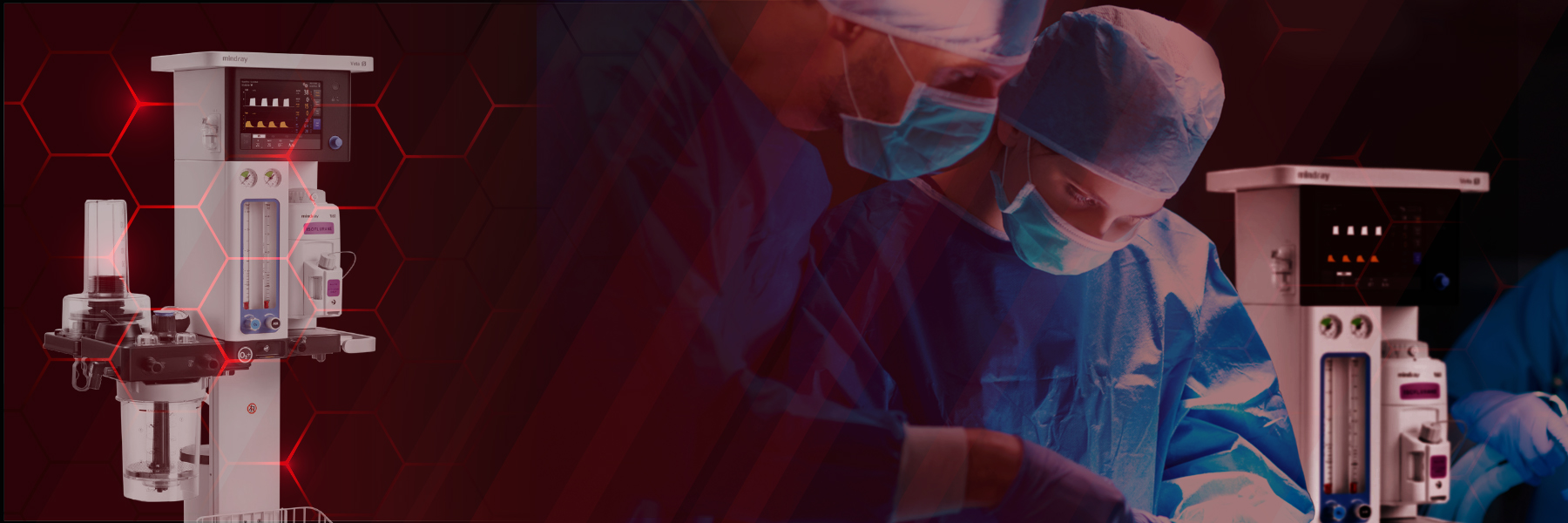 Sevimli dostlarımızın ürək