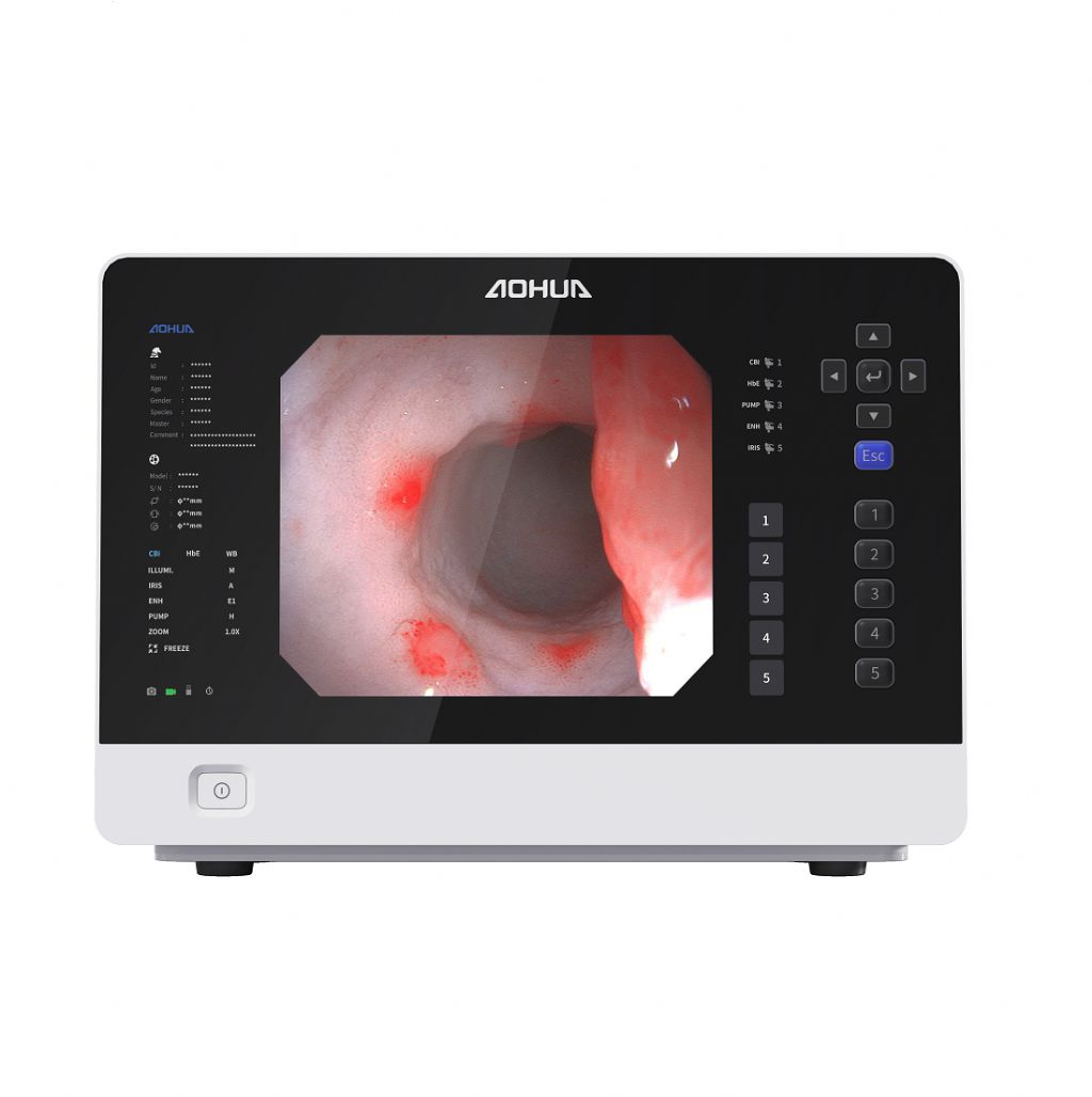 Veteriner Endoskopi Sistemleri | Gelişmiş Görüntüleme Çözümleri | Hasvet